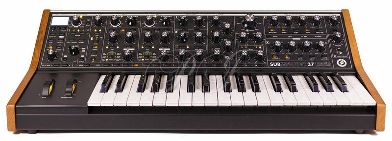 Moog Subsequent 37. Синтезатор: цена, фото, отзывы